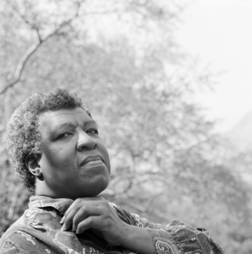 Octavia E. Butler: Rokonság - az Olvasoterem.com kritikája
